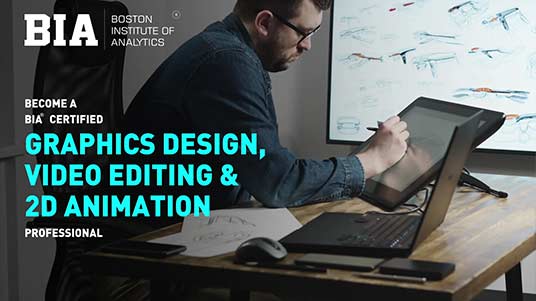 Graphic Design, Video Editing And 2D Animation - Boston Institute Of ...